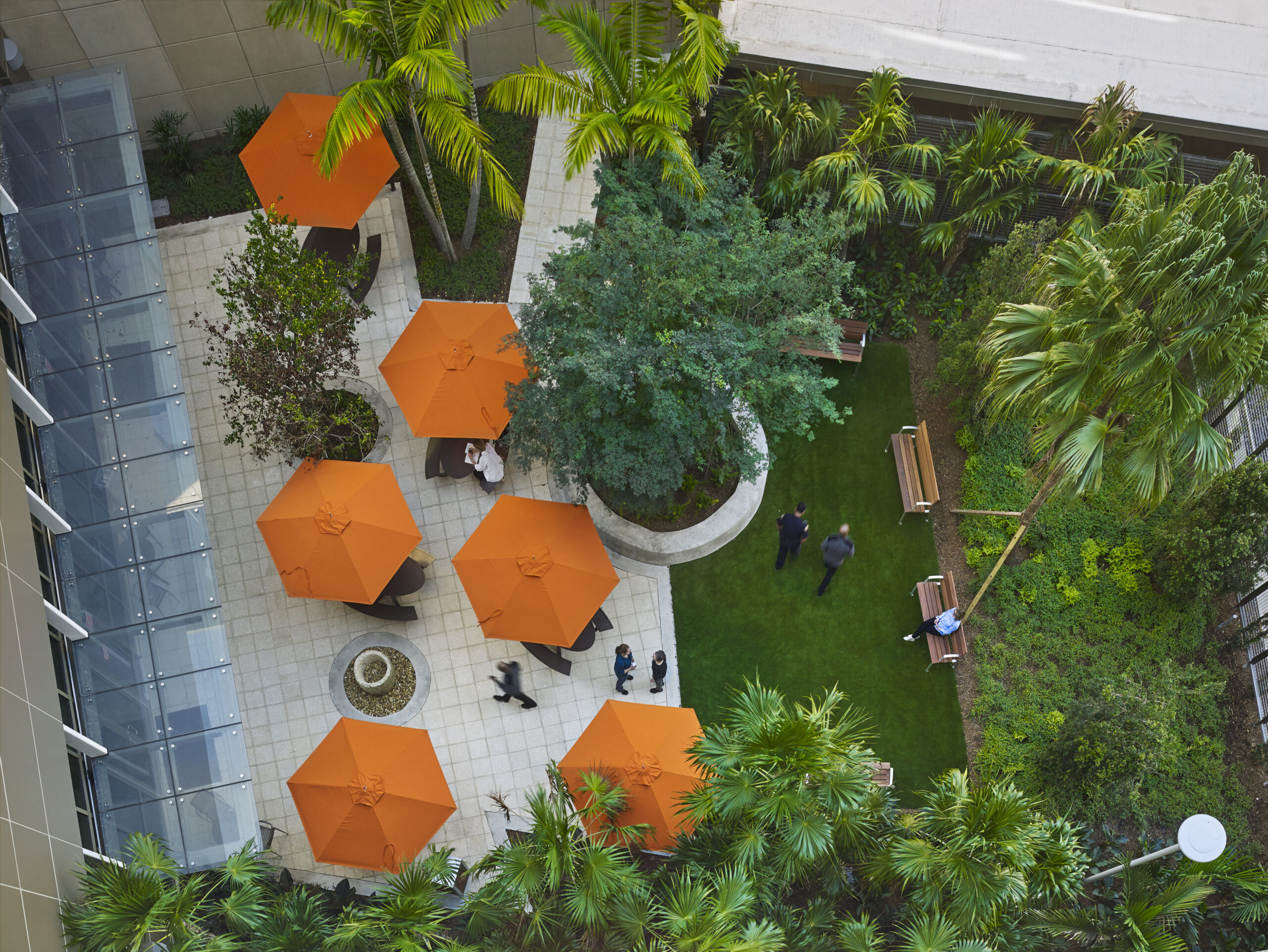 Medical Construction & Design: 5 Impactful Design Trends Promoting Well ...